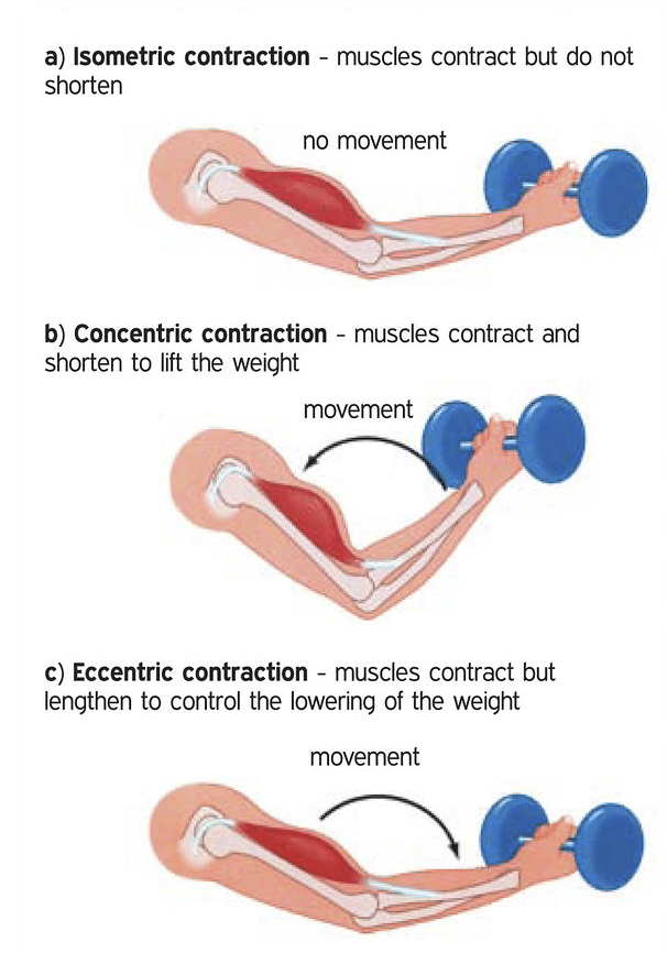 Treating Tendinopathy with Physical Therapy - Korehab Clinic ...